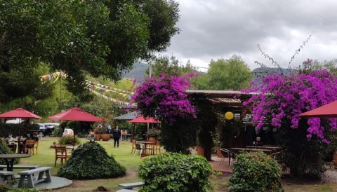 Galeria de Fotos - Restaurante Campestre El Tablazo Parrilla Picnic